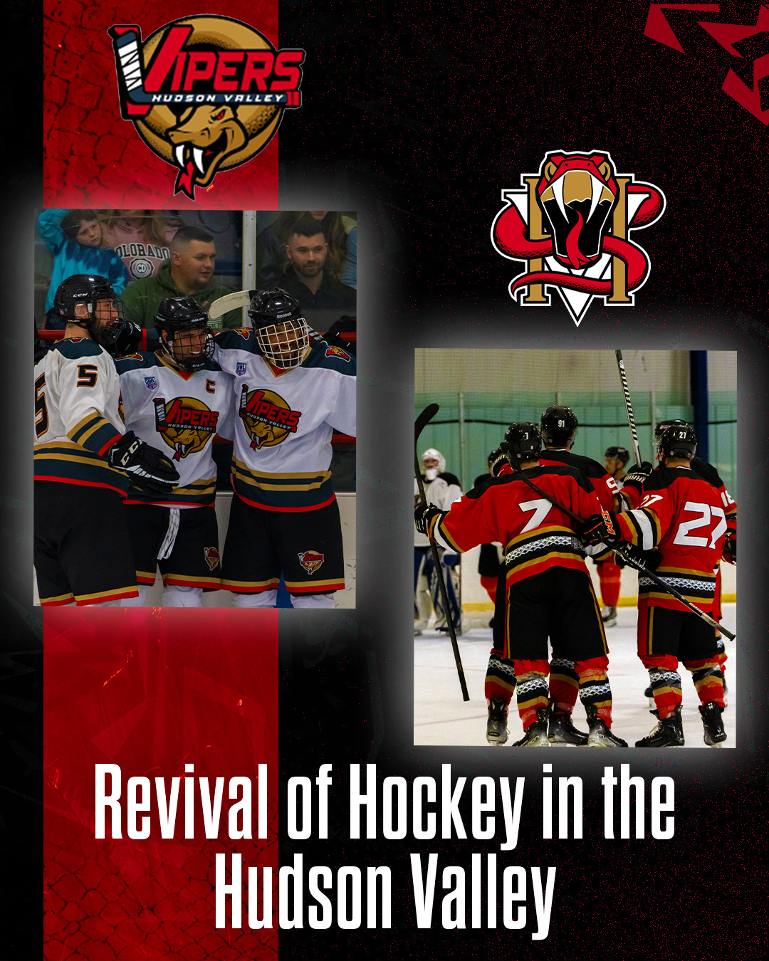 How the Vipers and Venom Revived Hudson Valley Hockey - Center Field