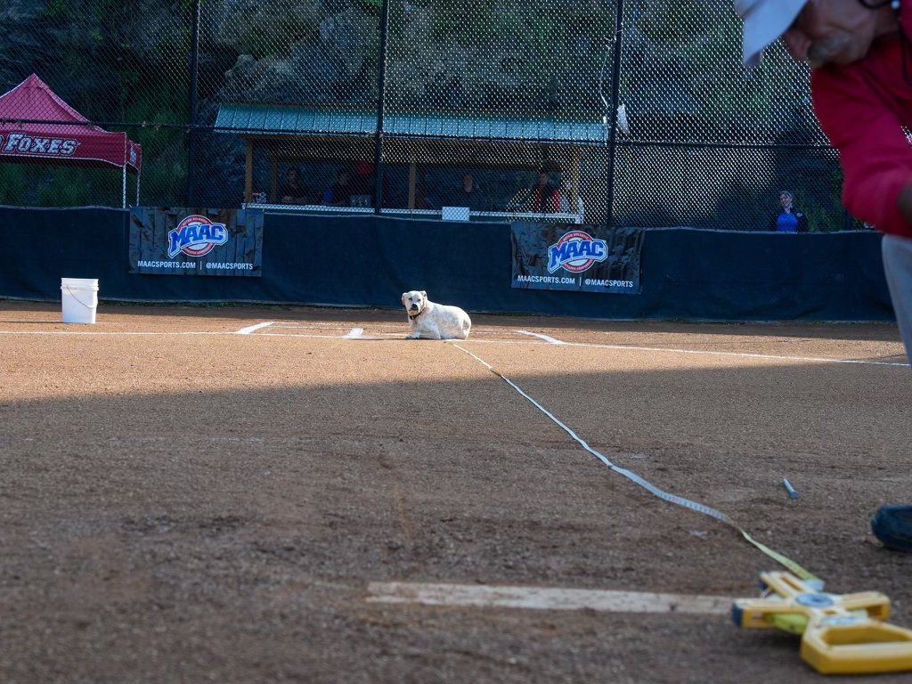 Six Days at Gartland Field: How the Marist Grounds Crew Battled Mother ...